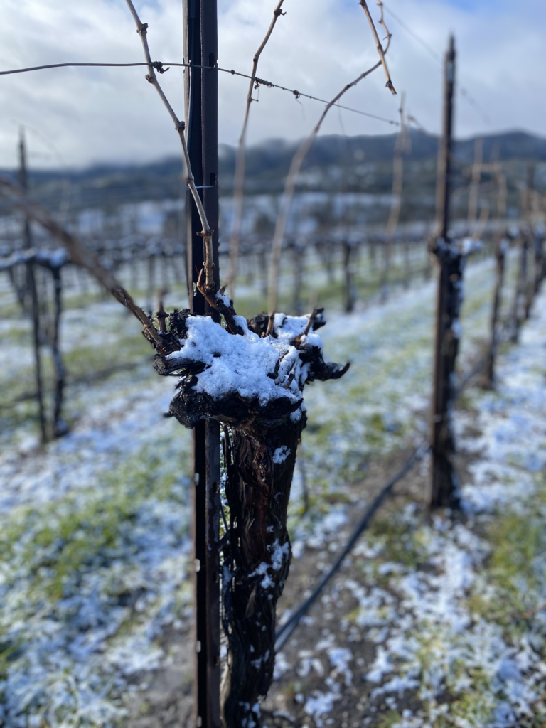 Wine Enthusiast: California's Rare Snow-Covered Vineyards - Ancient Peaks